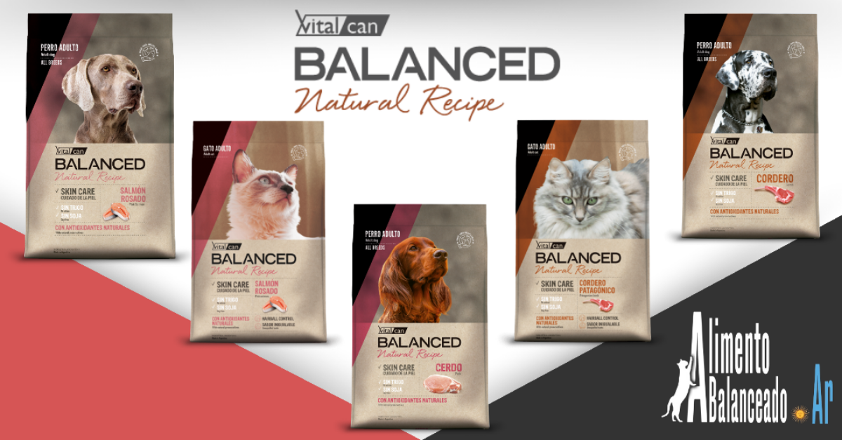 Alimento Balanceado - Distribuidora de Alimento Balanceado Para Perros ...
